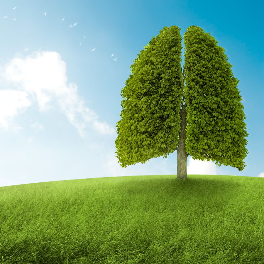 What is a Nebuliser – Nebulisers Direct