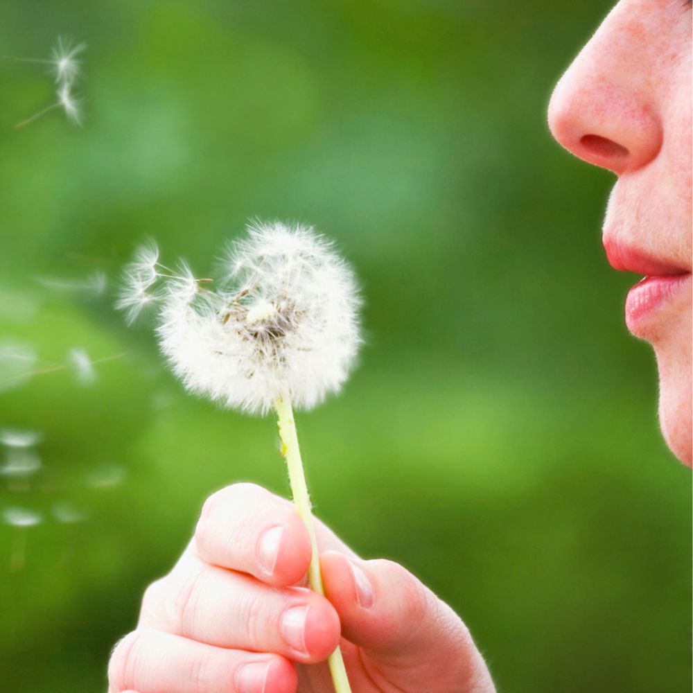 Spring has sprung. Hay fever time. – Nebulisers Direct
